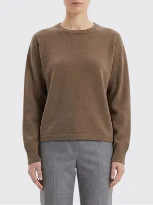 Max Mara Virgin Wool And Cashmere Crew-neck Pullover - Brown