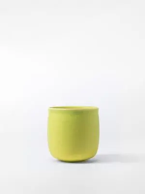RAAWII Glassware Lifestyle Colour - Yellow