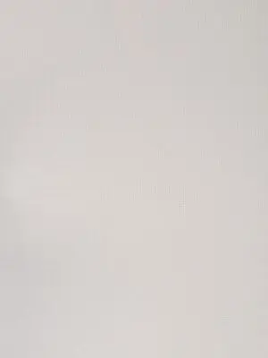 ENTIRE STUDIOS Top Colour