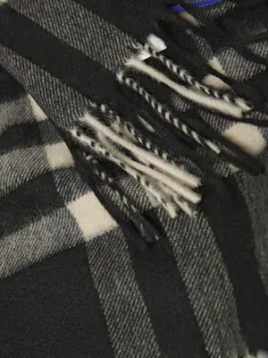Burberry Scarf Colour