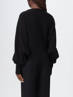 Alberta Ferretti Jumper Colour