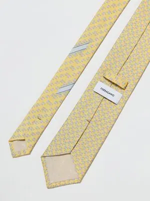 FERRAGAMO Tie Colour