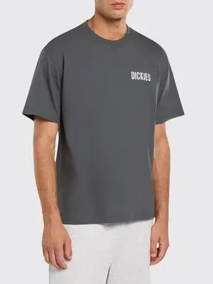 Dickies T-shirt Colour