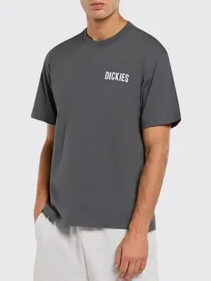 Dickies T-shirt Colour