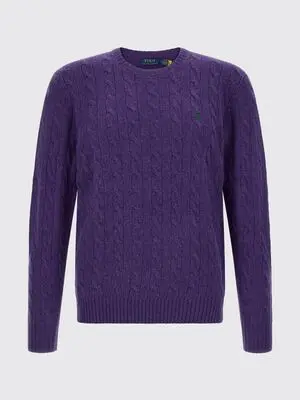 Polo Ralph Lauren Wool And Cashmere Crewneck Sweater With Embroidered Pony - Violet