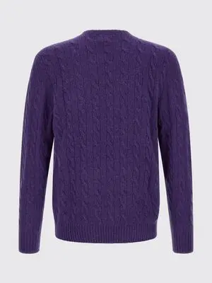 Polo Ralph Lauren Wool And Cashmere Crewneck Sweater With Embroidered Pony - Violet