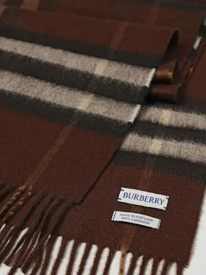 Burberry Scarf Colour