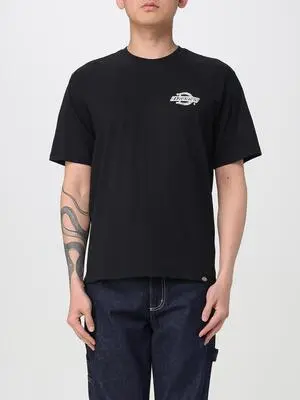 Dickies T-shirt Colour