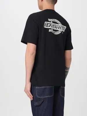 Dickies T-shirt Colour