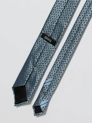 Zegna Tie Colour