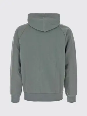 Carhartt Work In Progress Basic Hooded Sweatshirt In Cotton Blend