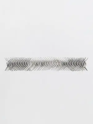 Benedetta Bruzziches Metallic Belt