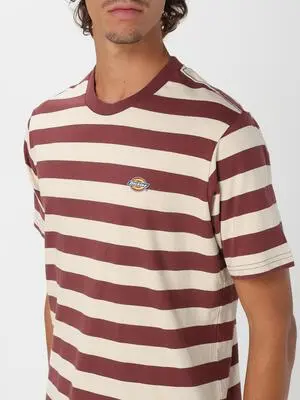 Dickies T-shirt Colour - Brown