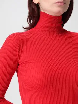Sportmax Jumper Colour - Grey