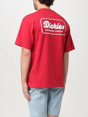 Dickies T-shirt Colour