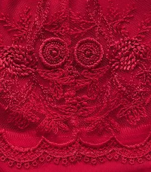 Simone Perele Lace Intrigue Shorty Briefs