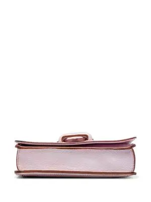 Loewe Grained Calfskin Barcelona Wallet On Strap Crossbody Bag - Pink