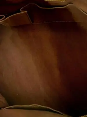 LOUIS VUITTON Monogram Tivoli Gm Shoulder Bag