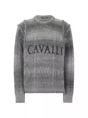 Roberto Cavalli Cable Knit Crew Neck Sweater