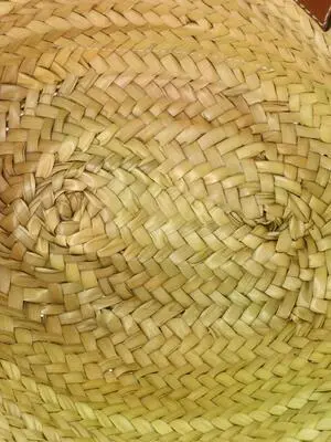 Loewe Basket Raffia Tote Bag