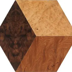 E. INDER DESIGNS Neutrals / Hexagonal Coaster Set Of Four. Mixed Wood Designs With Melamine Coating For Heat Resistance - Brown