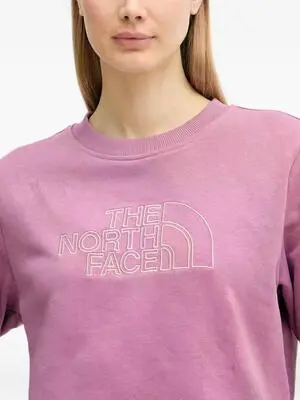 The North Face Drew Peak Light Sweatshirt