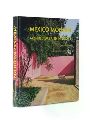 RIZZOLI Mexico Modern: Architecture And Interiors Book