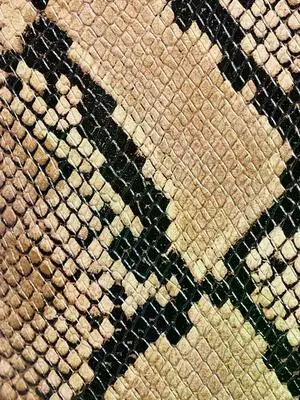 NILI LOTAN Keith Snakeskin-effect Medium Shoulder Bag