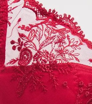 Simone Perele Lace Intrigue Plunge Push-up Bra