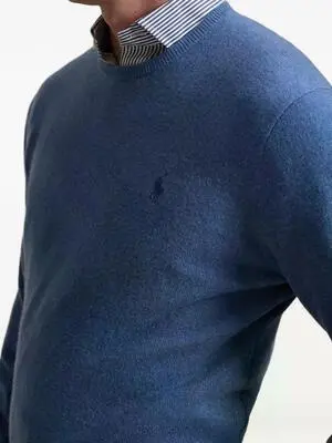 Polo Ralph Lauren Pony Embroidered V-neck Sweater