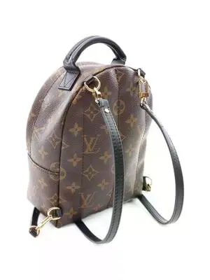 LOUIS VUITTON 2020 Palm Springs Monogram Backpack