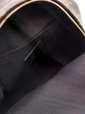 LOUIS VUITTON 2020 Palm Springs Monogram Backpack - Brown
