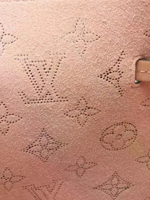 LOUIS VUITTON Girolatta Two-way Tote Bag