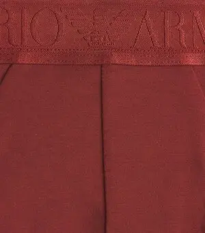Emporio Armani Modal Logo Briefs