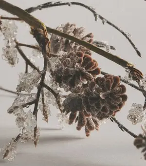 Harrods Glittery Berry Foliage Garland
