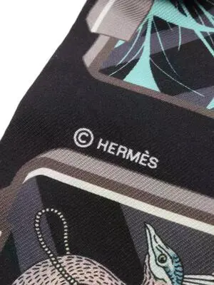 Hermès 2010s Story Ribbon Scarf