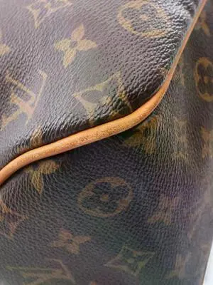 LOUIS VUITTON 2011 Delightful Pm Shoulder Bag