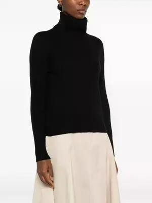 ARAGONA Roll-neck Ribbed-trim Sweater