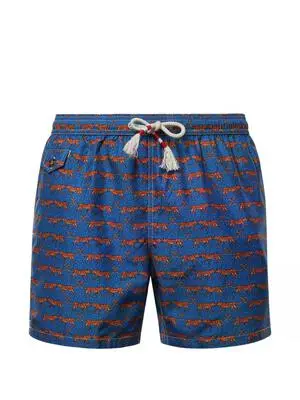MC2 SAINT BARTH Lighting Cat-print Swim Shorts