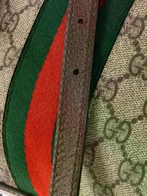 Gucci Ophidia Dome Gg Coated Canvas Small Shoulder Bag