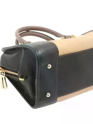 Loewe Tricolor Leather Amazona 28 Handbag