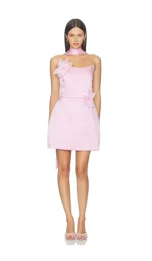 NADINE MERABI Flower Trim Mini Dress - Pink