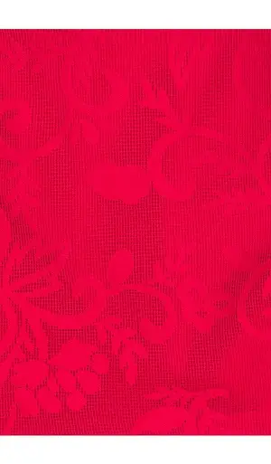 SNDYS. Sofie Lace Mini Dress In . Also