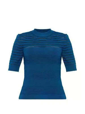 Balmain Sheer-panelled Lion-head Top - Blue