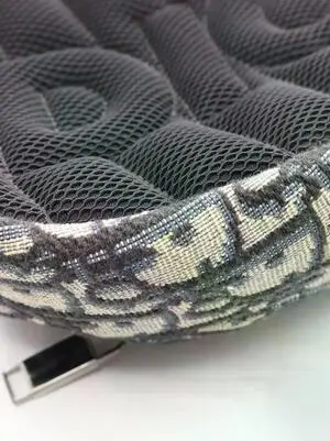 Dior Oblique Belt Bag