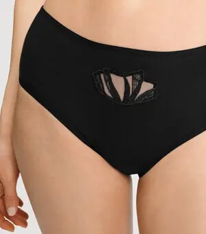 Hanro Cotton Lace-detail Rosaria Briefs