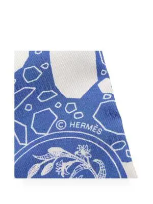 Hermès 2010s La Danse Des Amazones Scarf