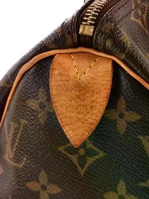 LOUIS VUITTON Speedy Handbag Monogram Canvas 25 Satchel