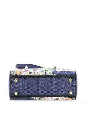 Dior Lady D-lite Raffia Satchel
