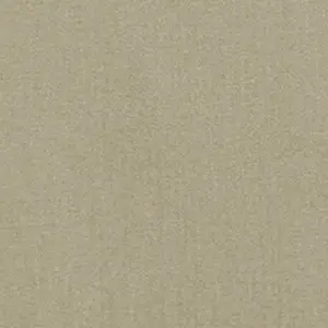 Loewe Cotton Anagram Shirt